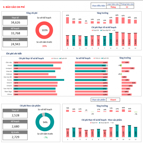 Excel Budget vs. Actual - VINACFO