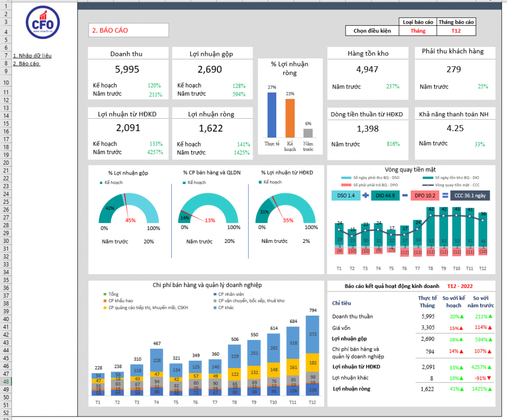 Excel Financial Dashboard - VINACFO